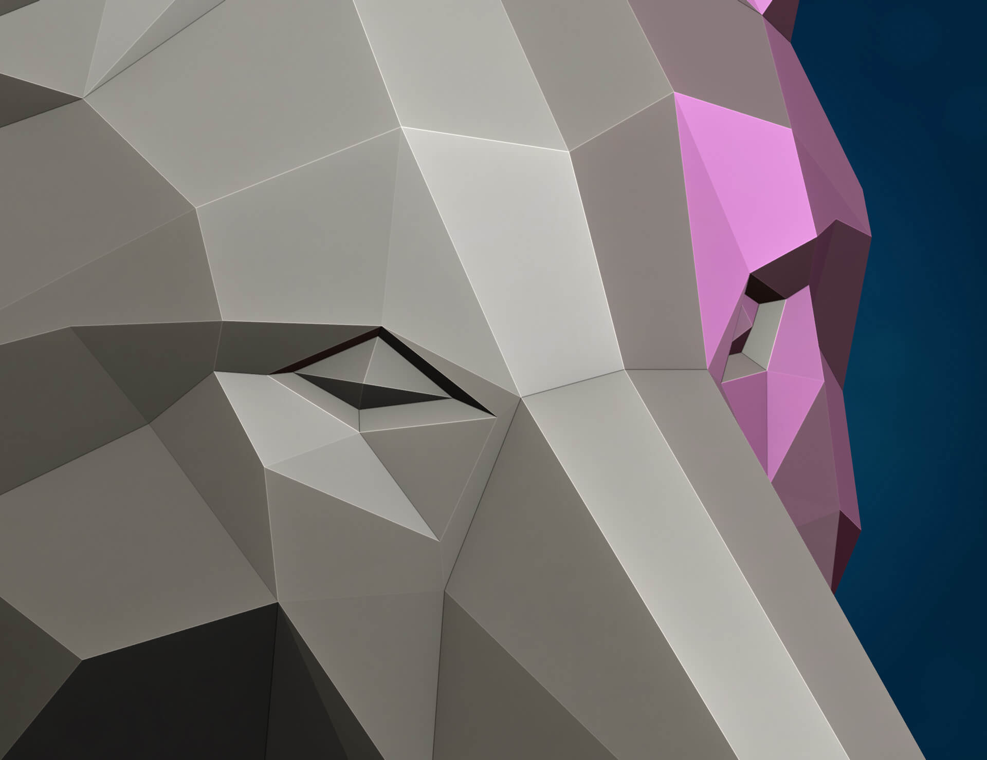 Wolf Head Low Poly - 3D Model by Skazok