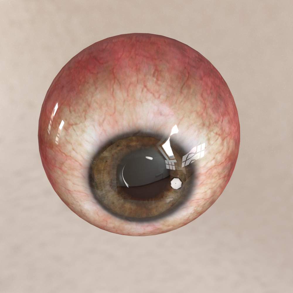 Human Eyes 5 Colors - 3D Model by SkifX