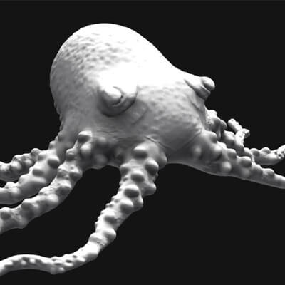 3D Models | Creatures | Octopus | RenderHub