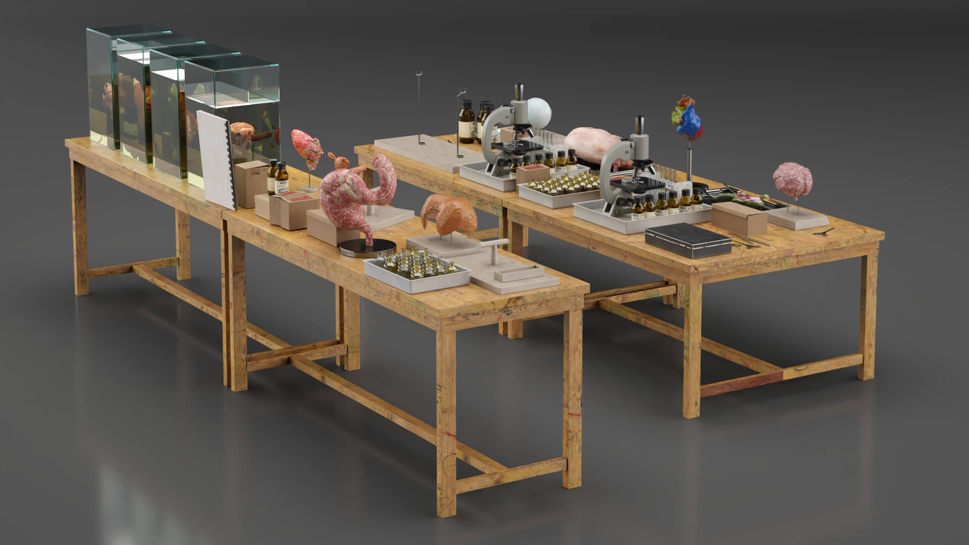 Biological Specimen Laboratory Equipment - 3D Model by Smart3DModels