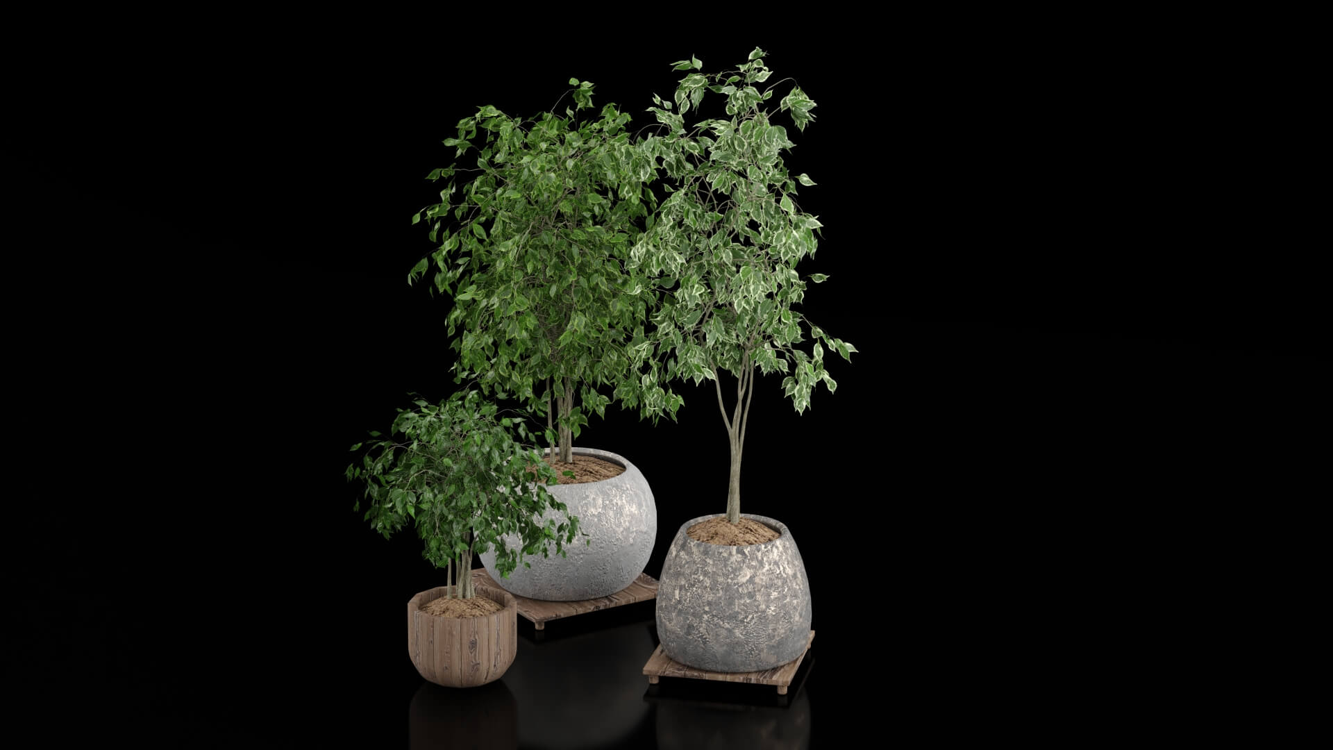 Indoor Plants - 3D Model by Smart3DModels
