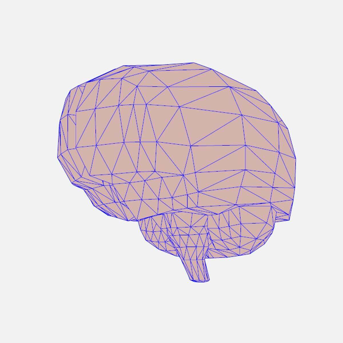 Human Brain - 3D Model by SolrHub