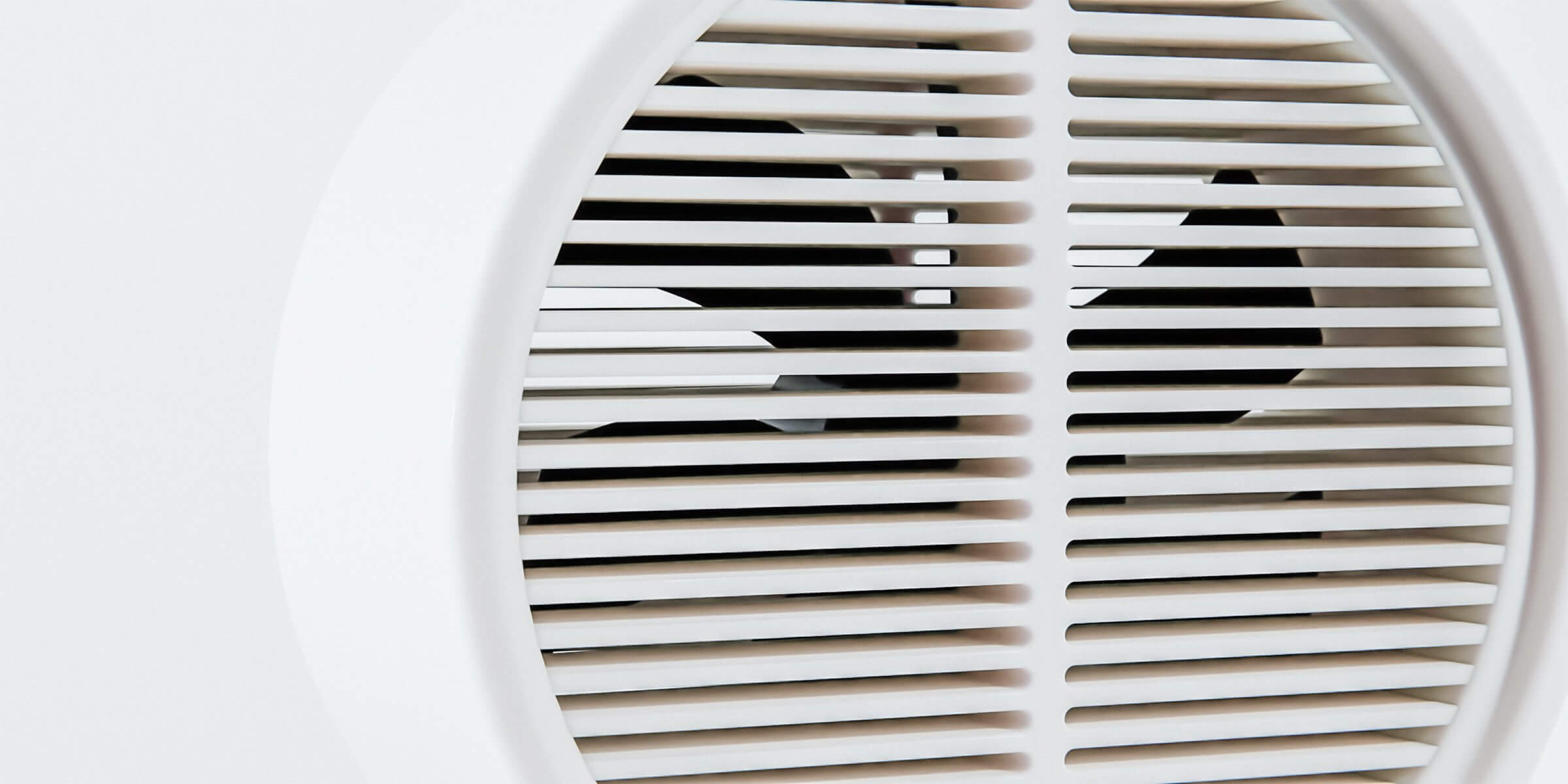 Braun Fan - 3D Model by sono2000