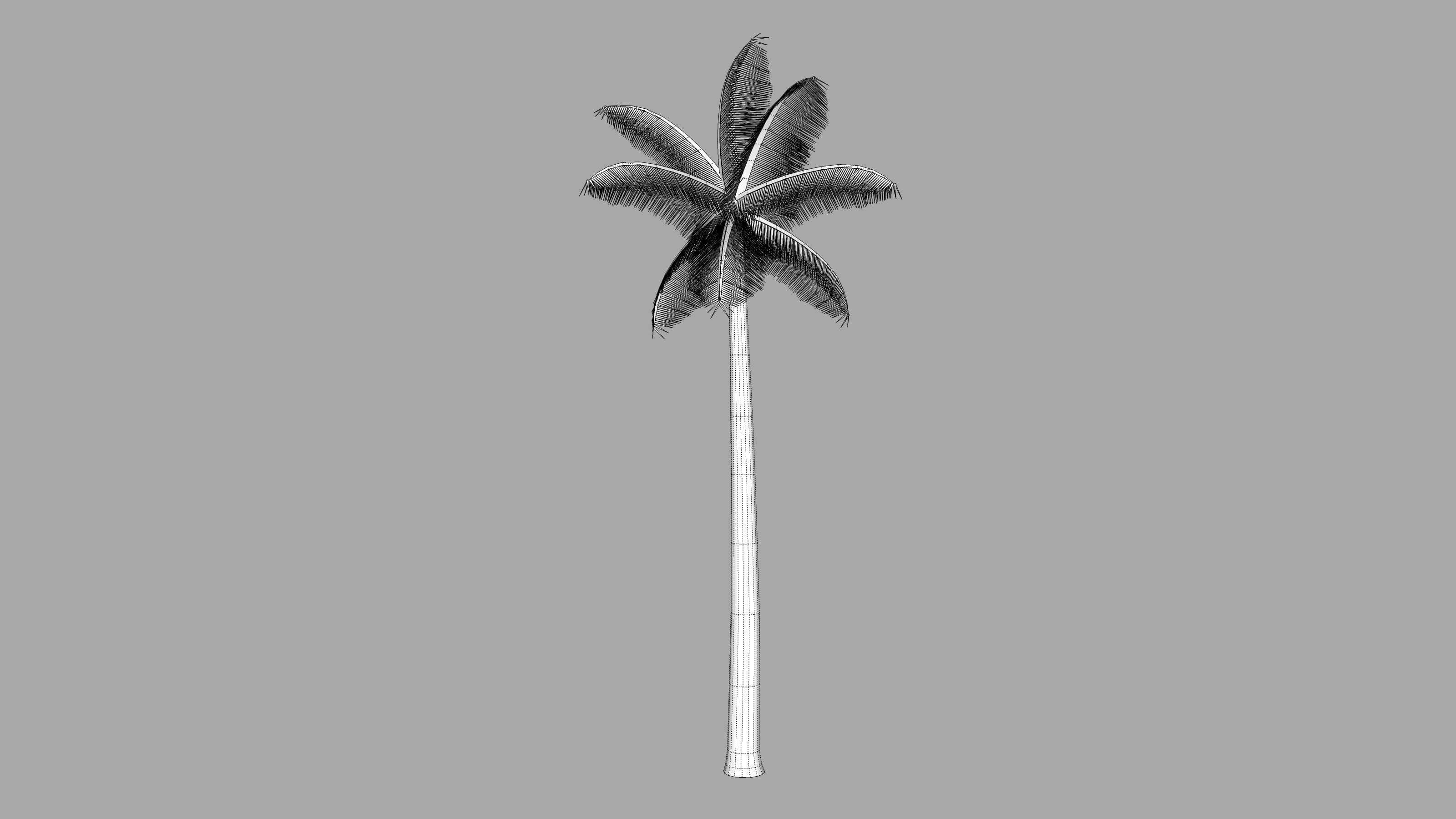 Palm Tree - Landscape Elements 3D Model by SpiritSwitchboard