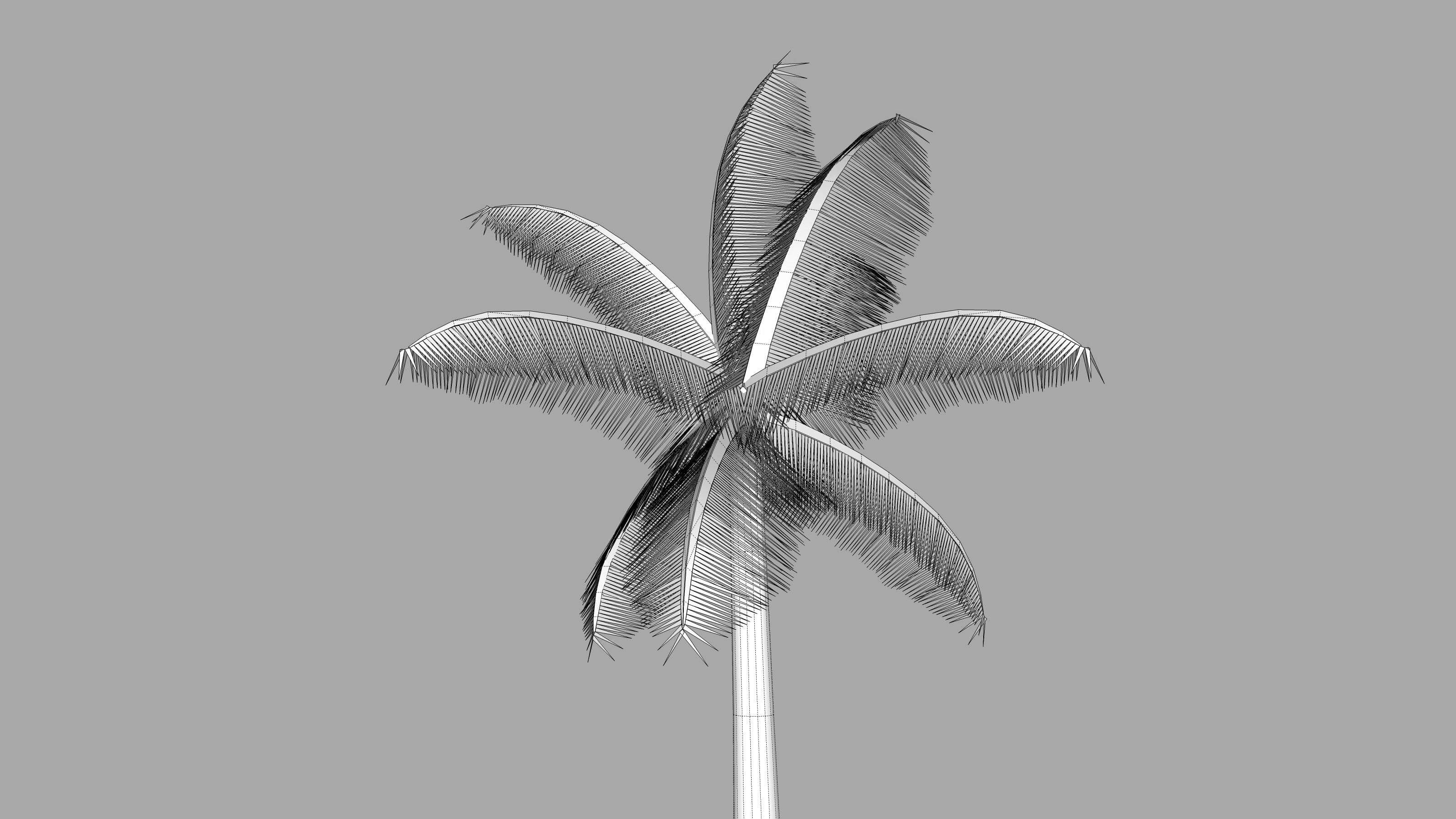 Palm Tree - Landscape Elements 3D Model by SpiritSwitchboard