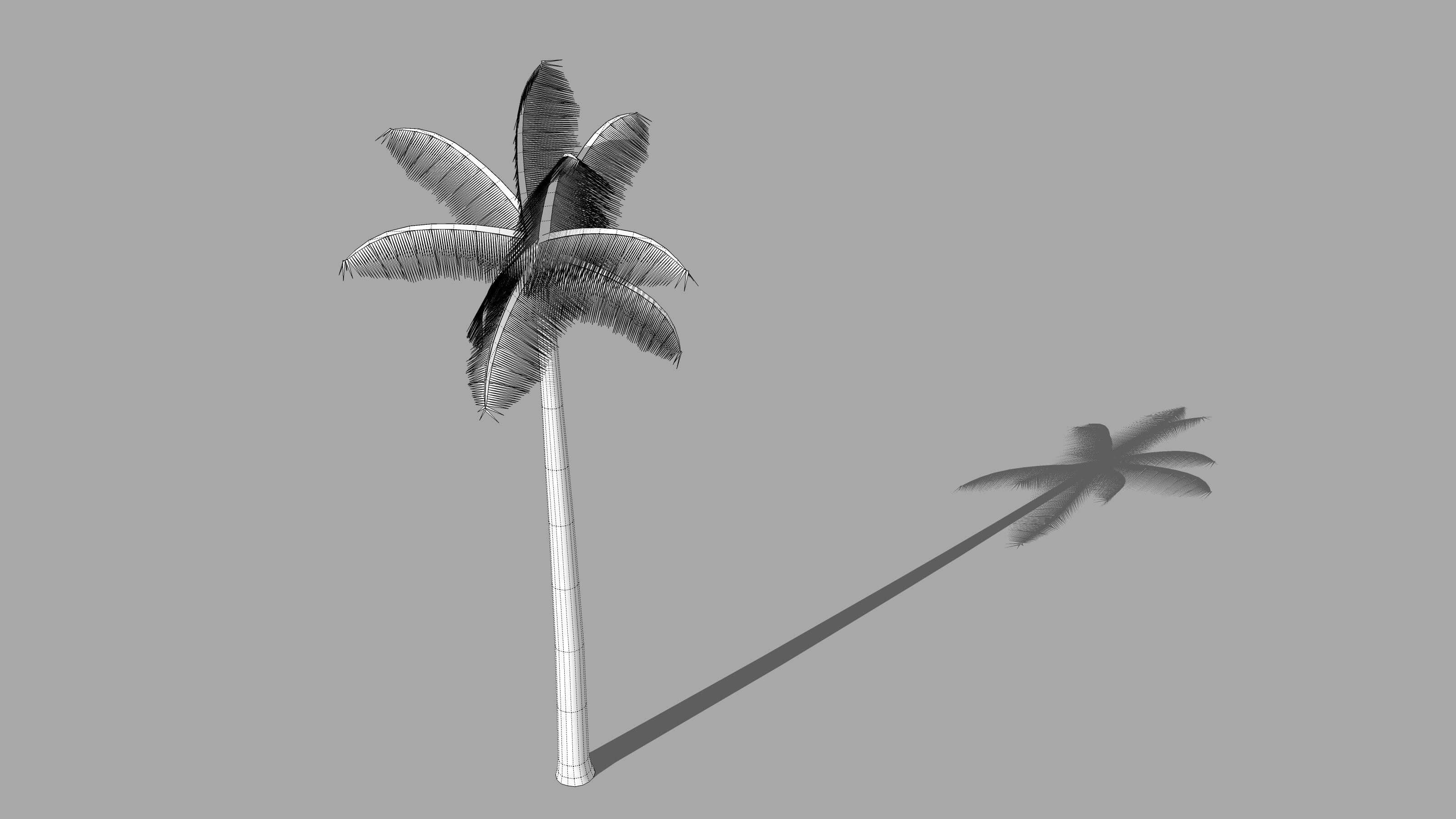 Palm Tree - Landscape Elements 3D Model by SpiritSwitchboard