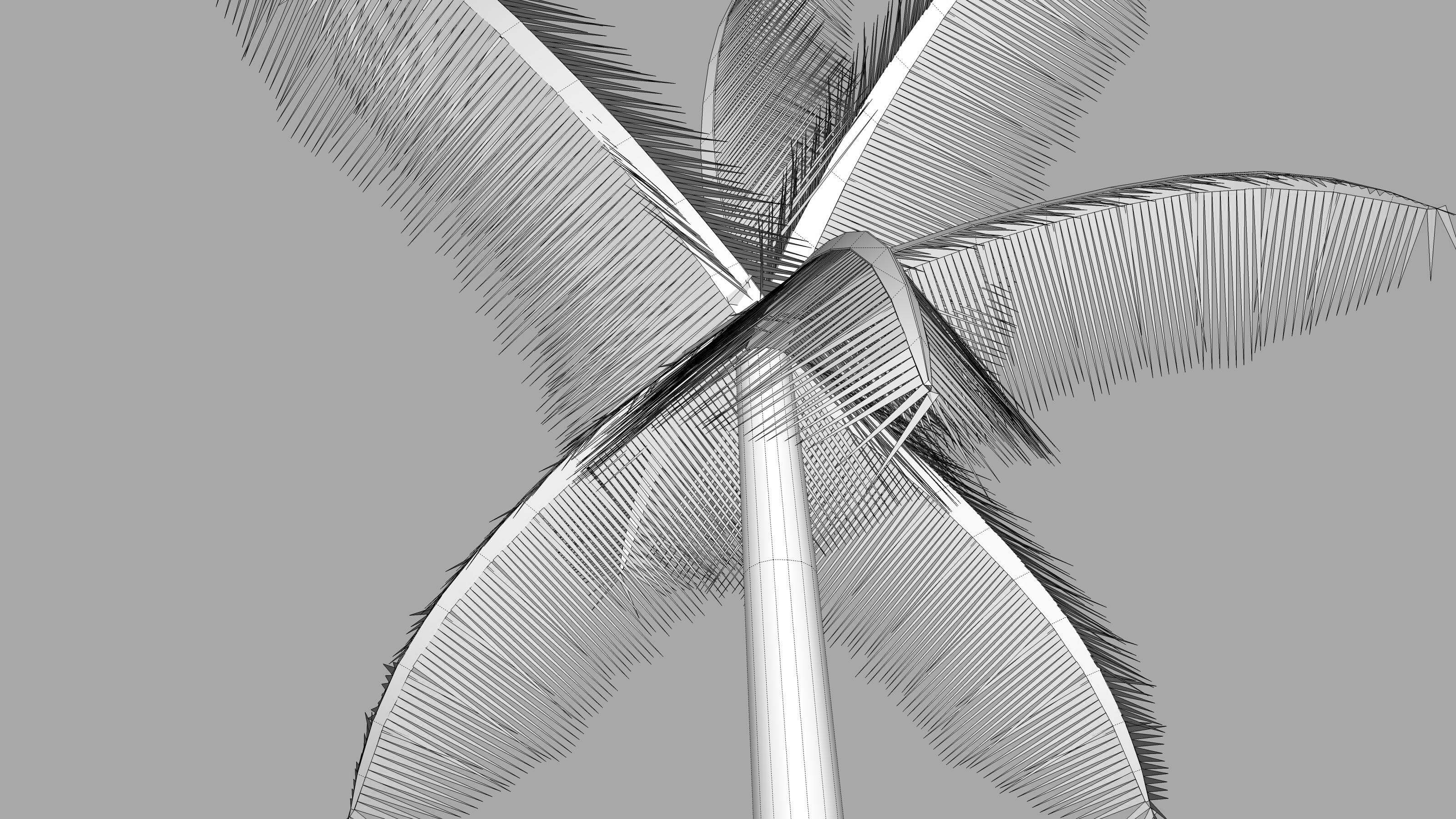 Palm Tree - Landscape Elements 3D Model by SpiritSwitchboard