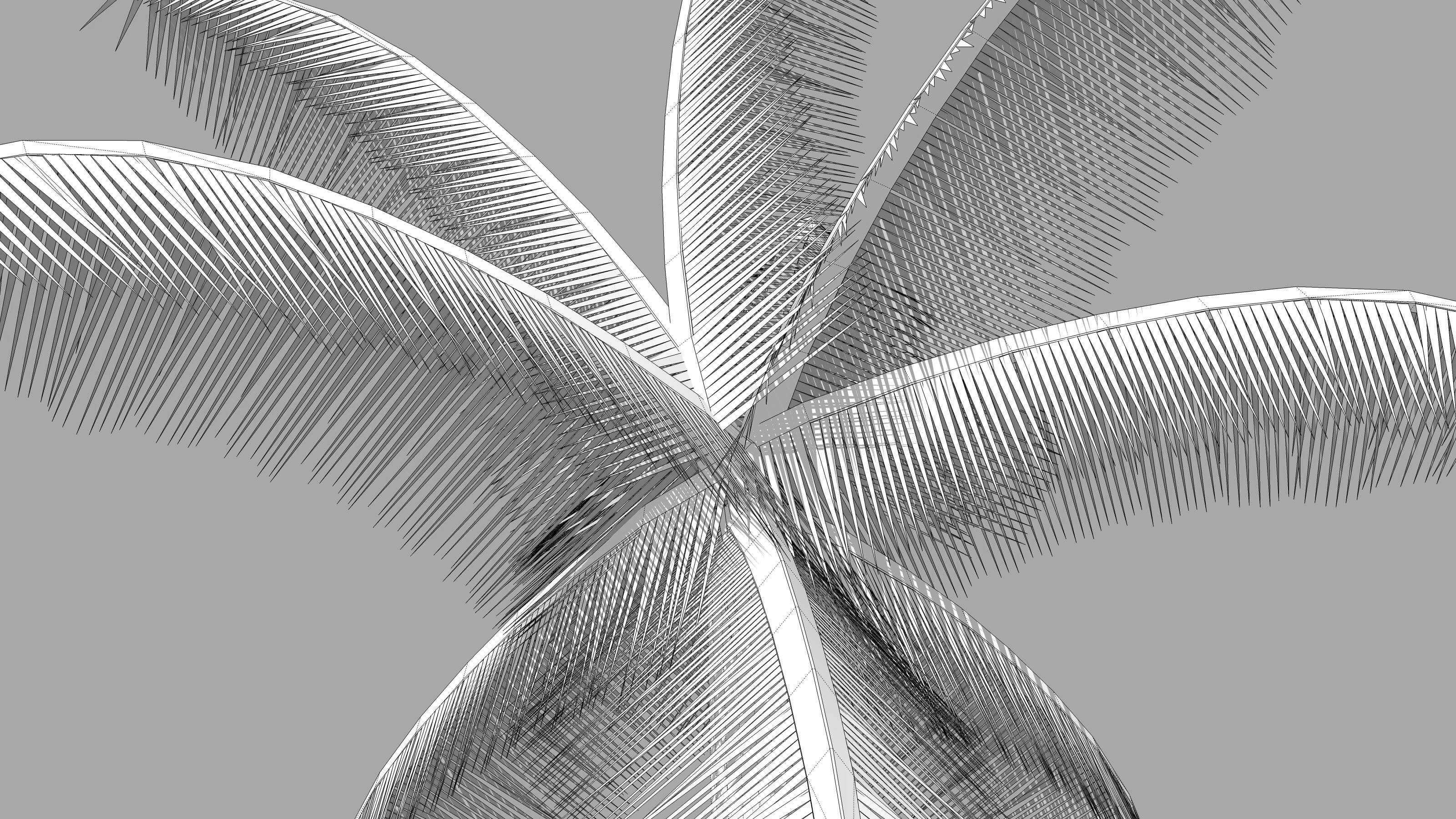 Palm Tree - Landscape Elements 3D Model by SpiritSwitchboard