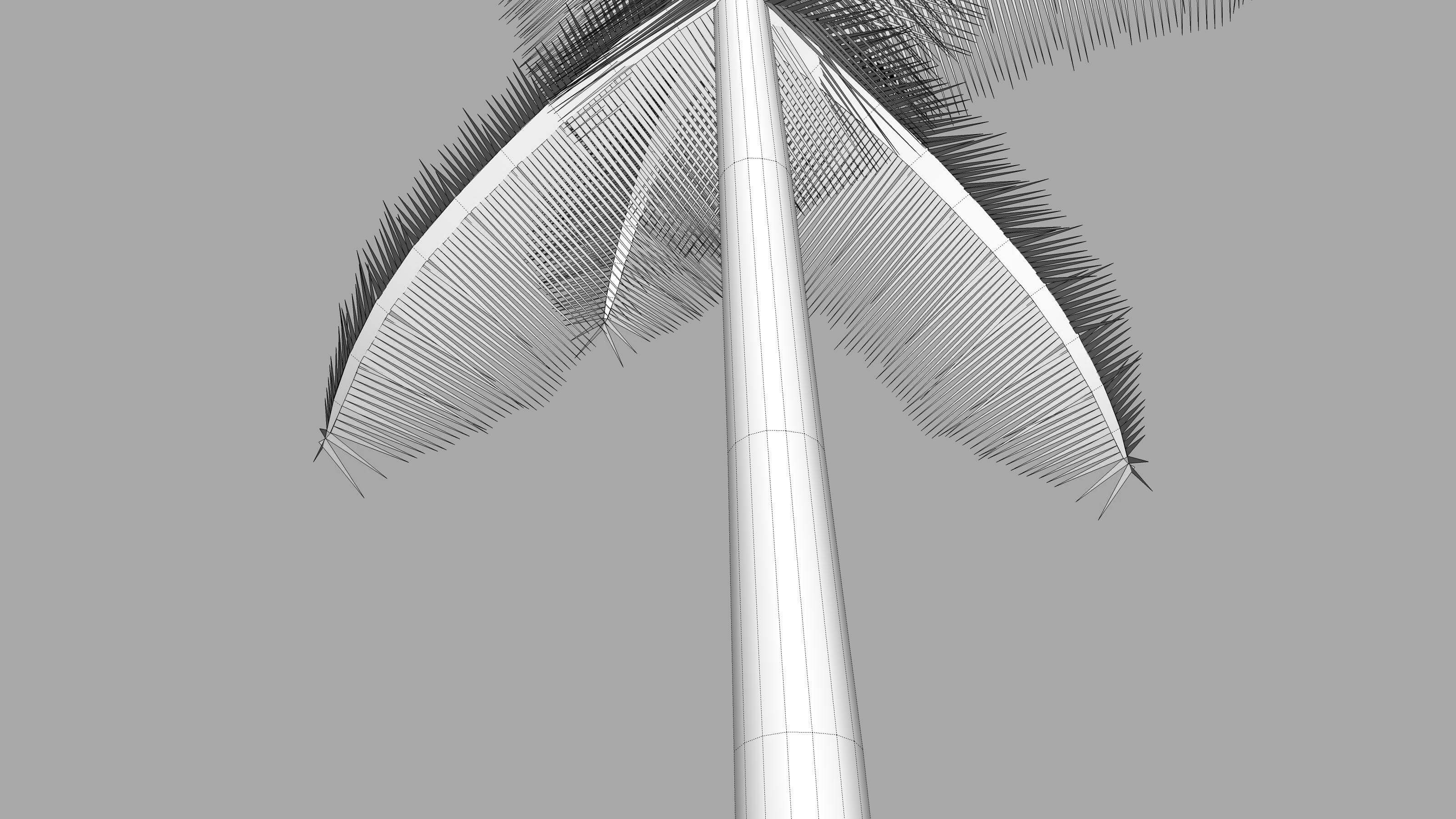 Palm Tree - Landscape Elements 3D Model by SpiritSwitchboard