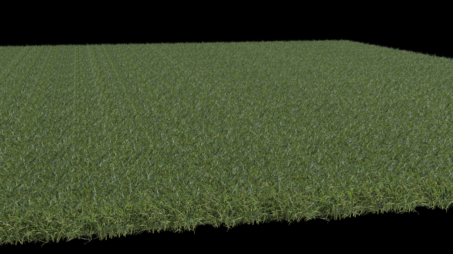 Grass Field- Lawn 3D Model by Spunky 3D