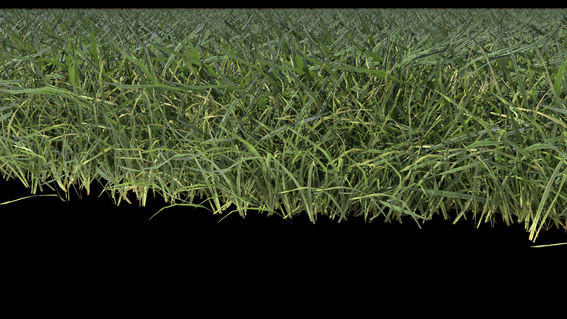 Grass Field- Lawn 3D Model by Spunky 3D