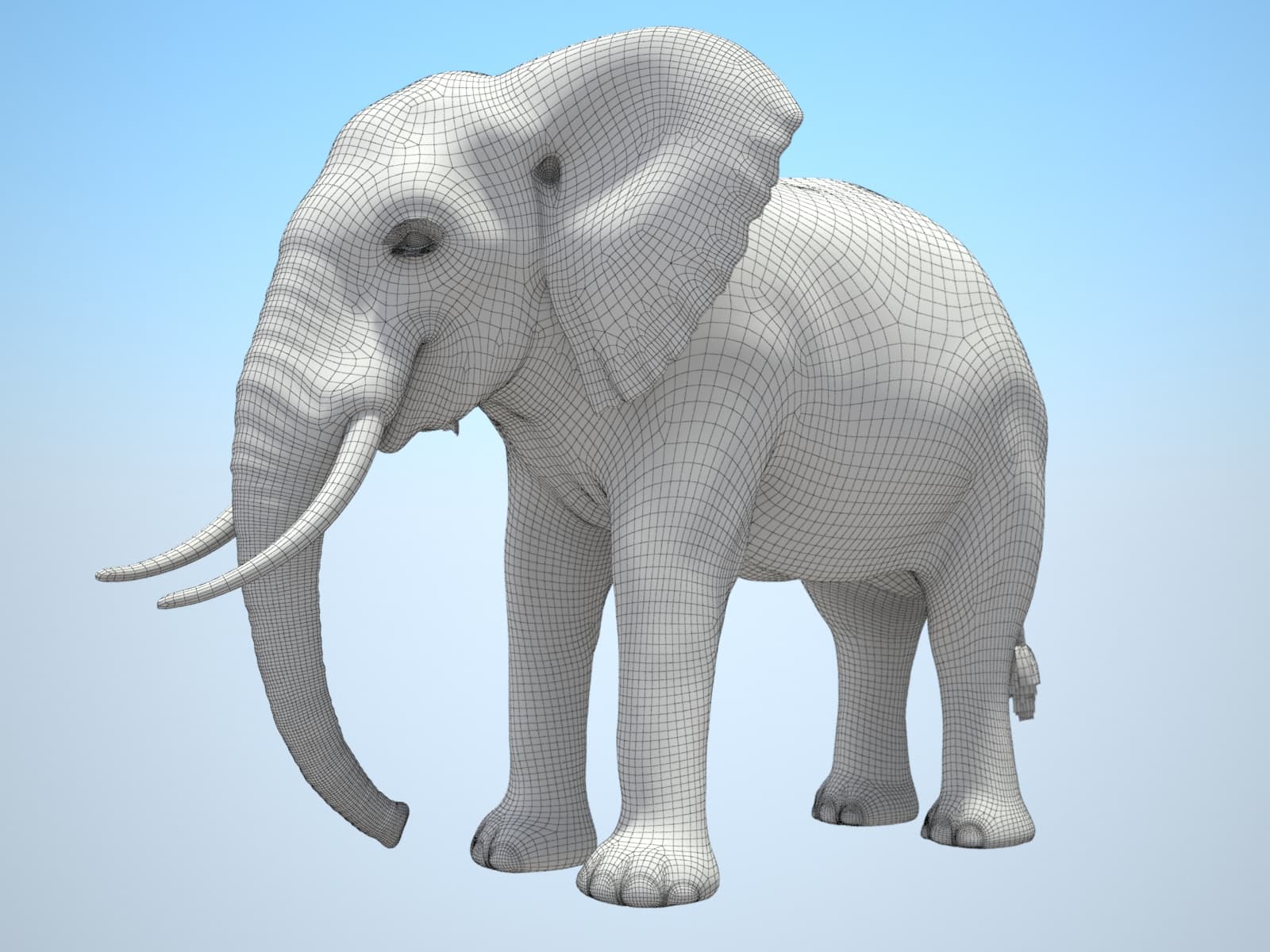 African Elephant - 3D Model by SQUIR