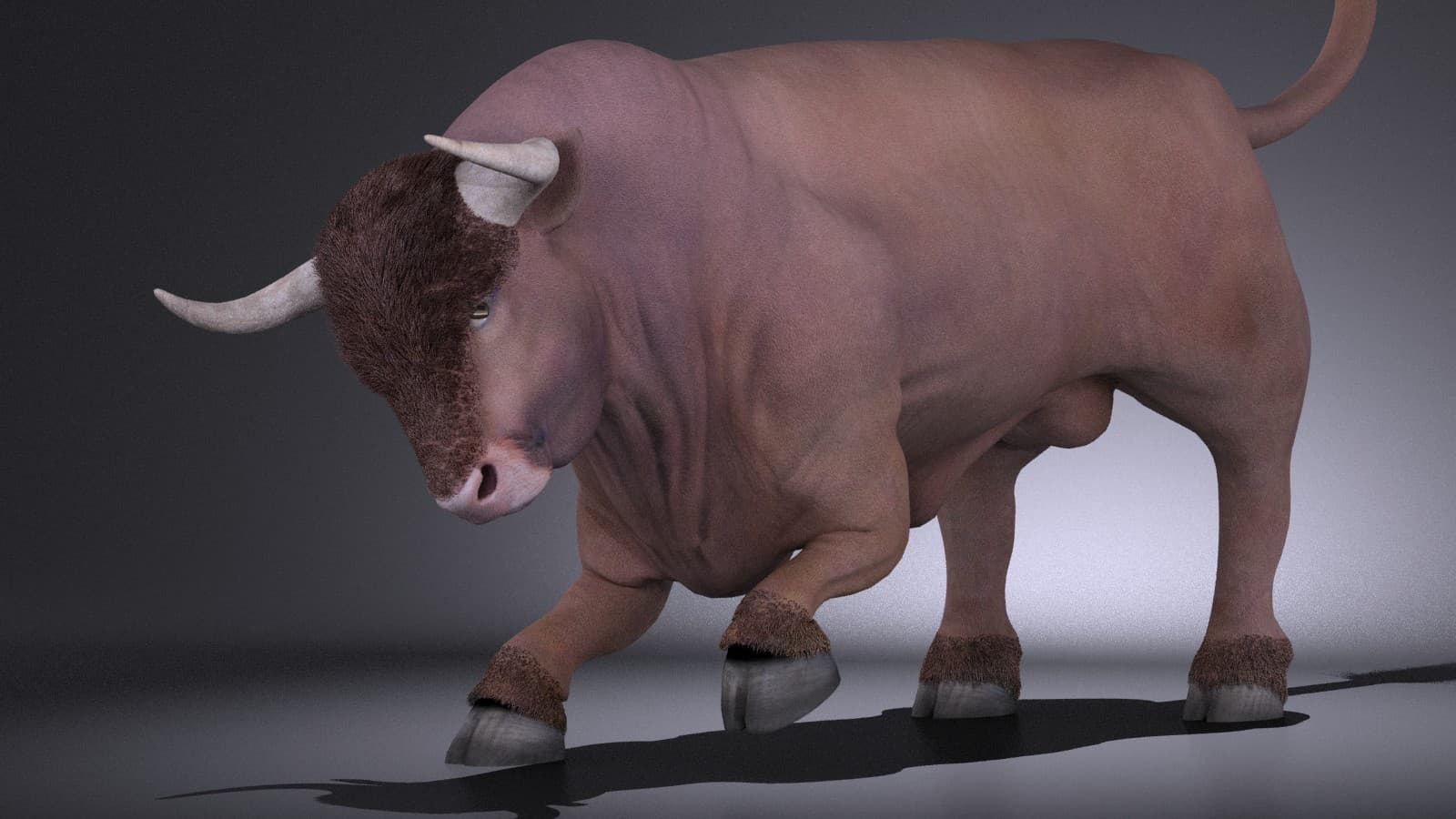 Bull - 3D Model by SQUIR