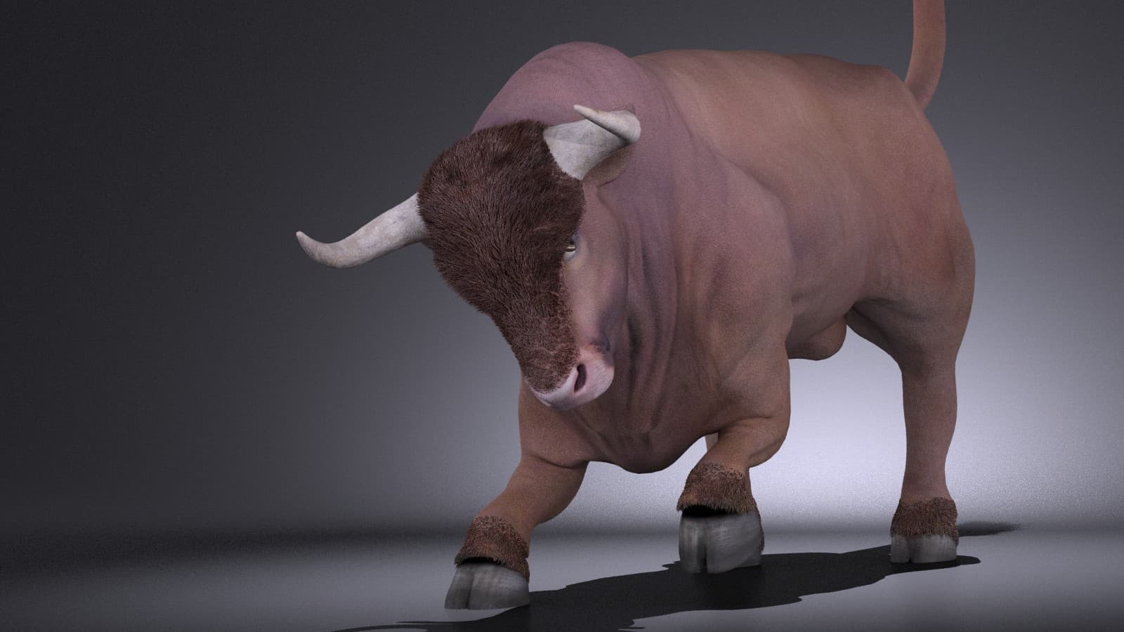 Bull - 3D Model by SQUIR