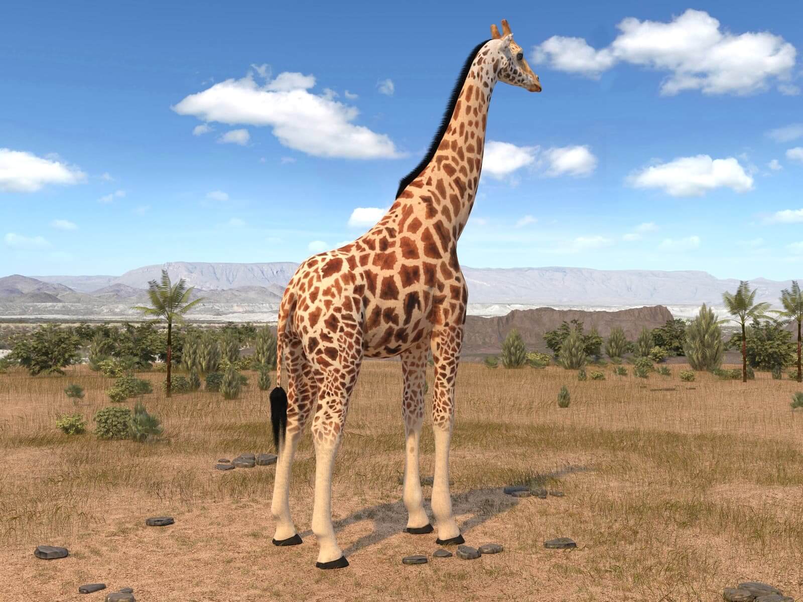 Giraffe - 3D Model by SQUIR