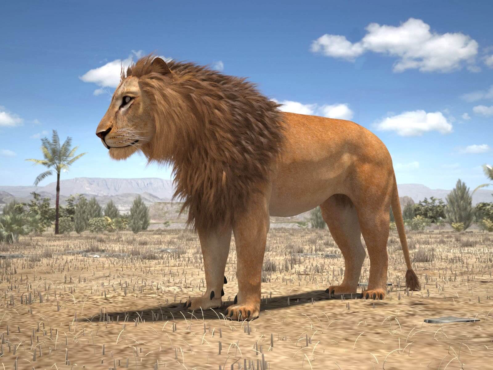 Lion The King (hair texture) - 3D Model by SQUIR