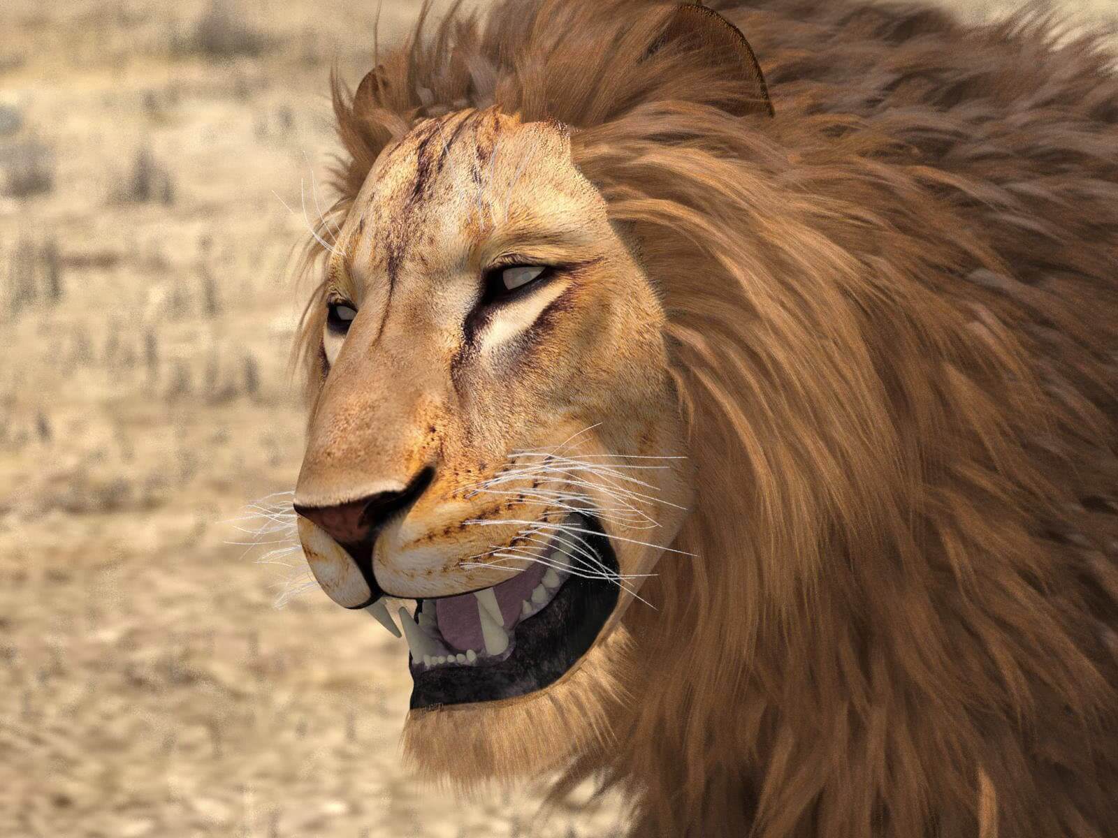Lion The King (hair texture) - 3D Model by SQUIR