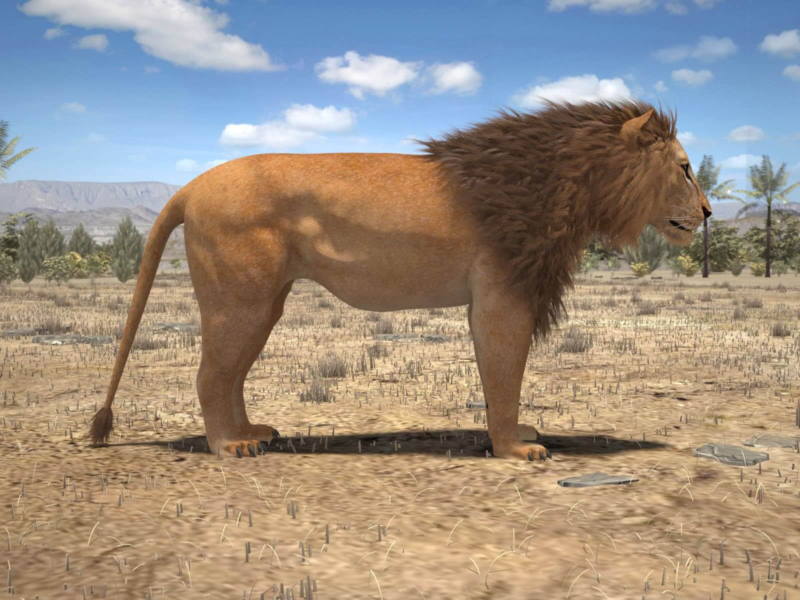 Lion The King (hair texture) - 3D Model by SQUIR