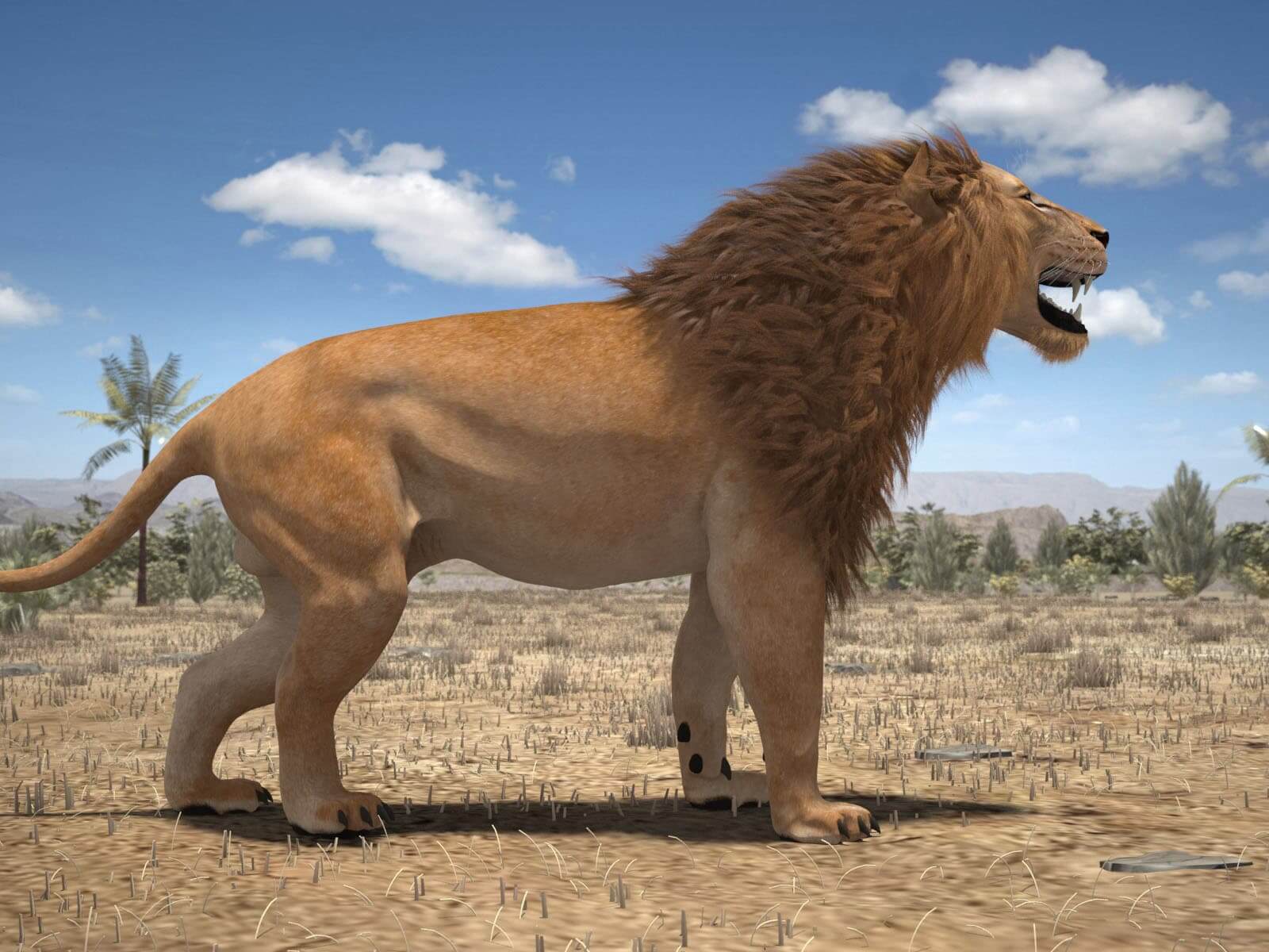 Lion The King (hair texture) - 3D Model by SQUIR