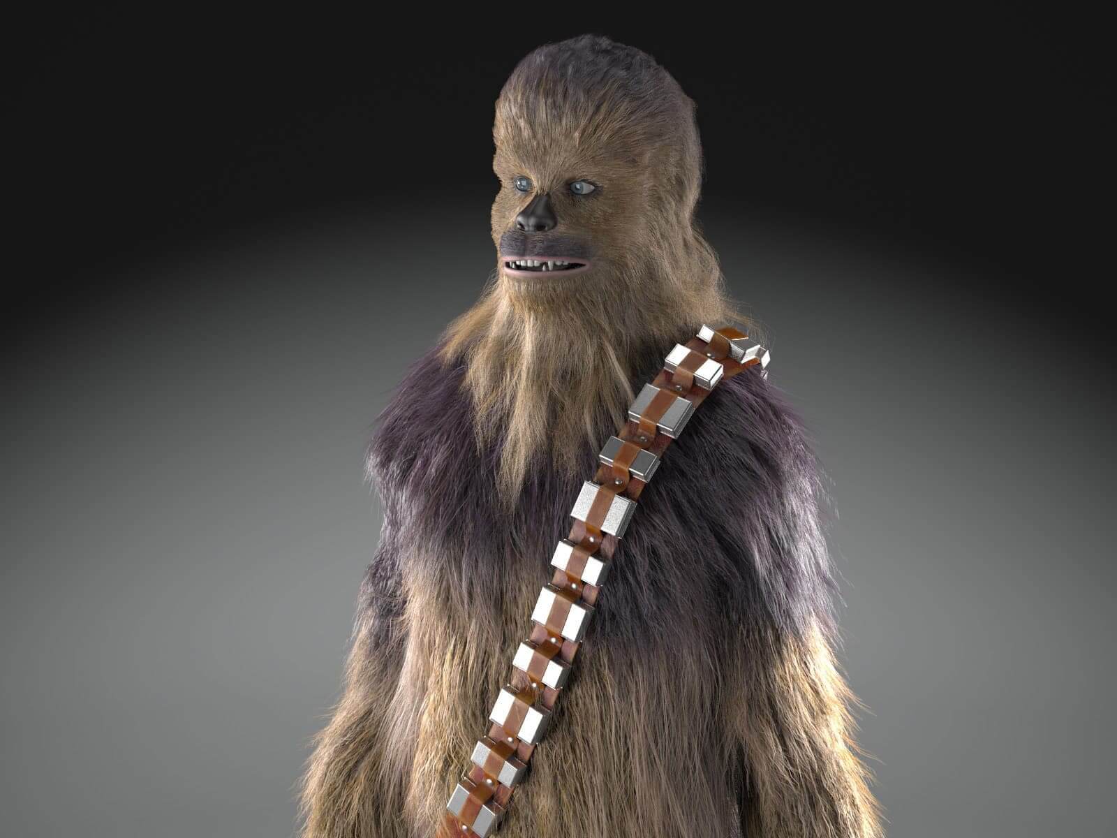 Star Wars Chewbacca - 3D Model by SQUIR
