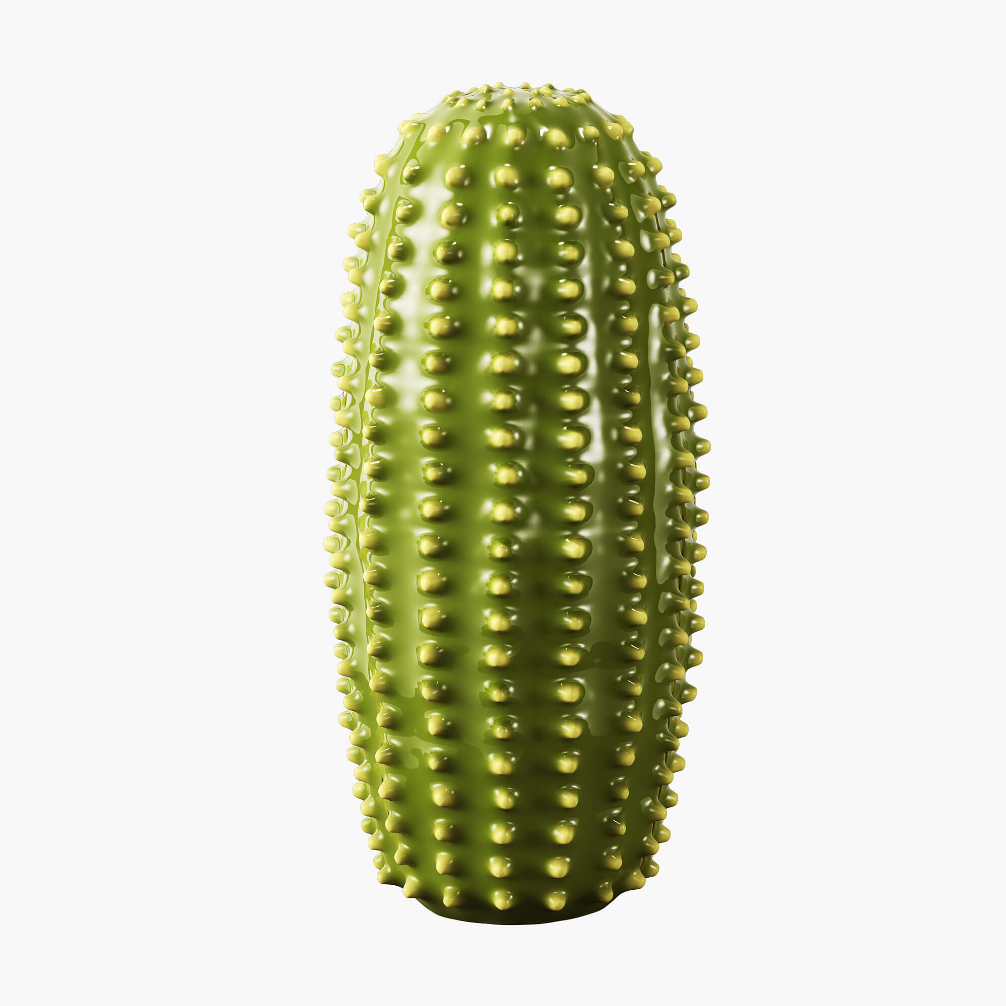 Ceramic Cactus Set - 3D Model by sta_84