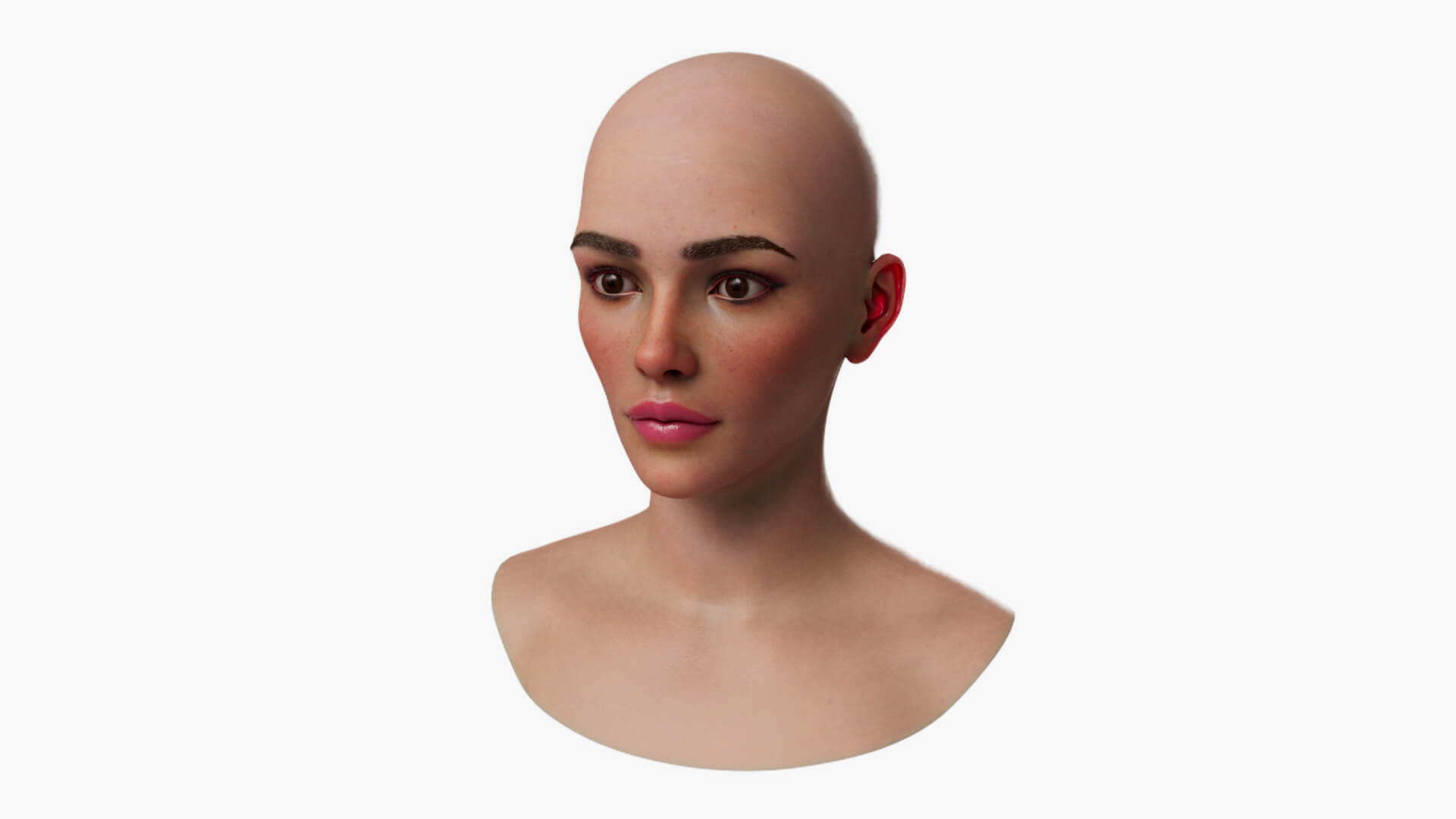 Caucasian Female Head Base Mesh Metahuman Topology V1 - 3D Model by ...