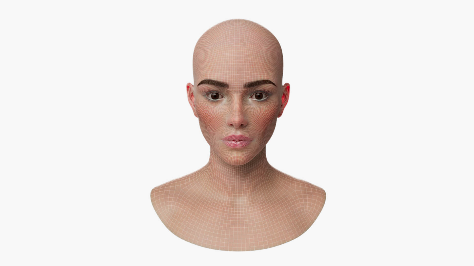 Female Head Mesh With Unreal Metahuman Topology V2 - 3D Model by ...