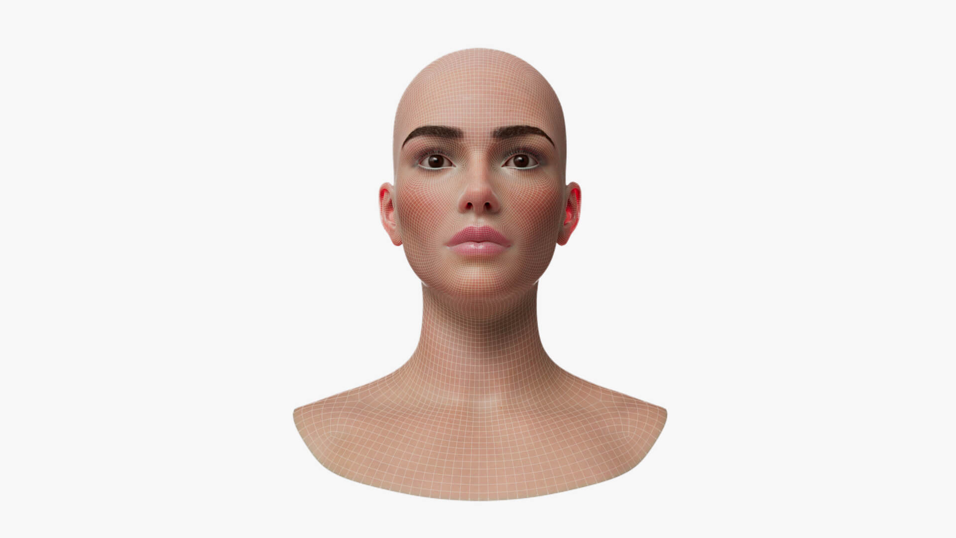 Caucasian Female Head Base Mesh Metahuman Topology V1 - 3D Model by ...