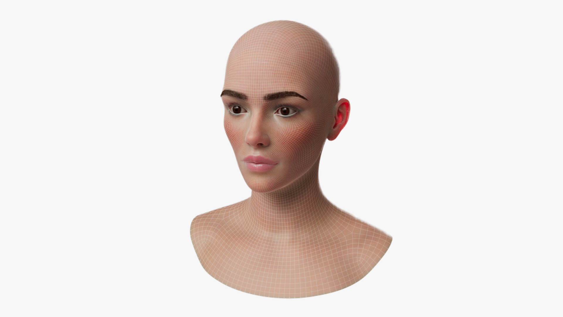 Female Head Mesh With Unreal Metahuman Topology V2 - 3D Model by ...