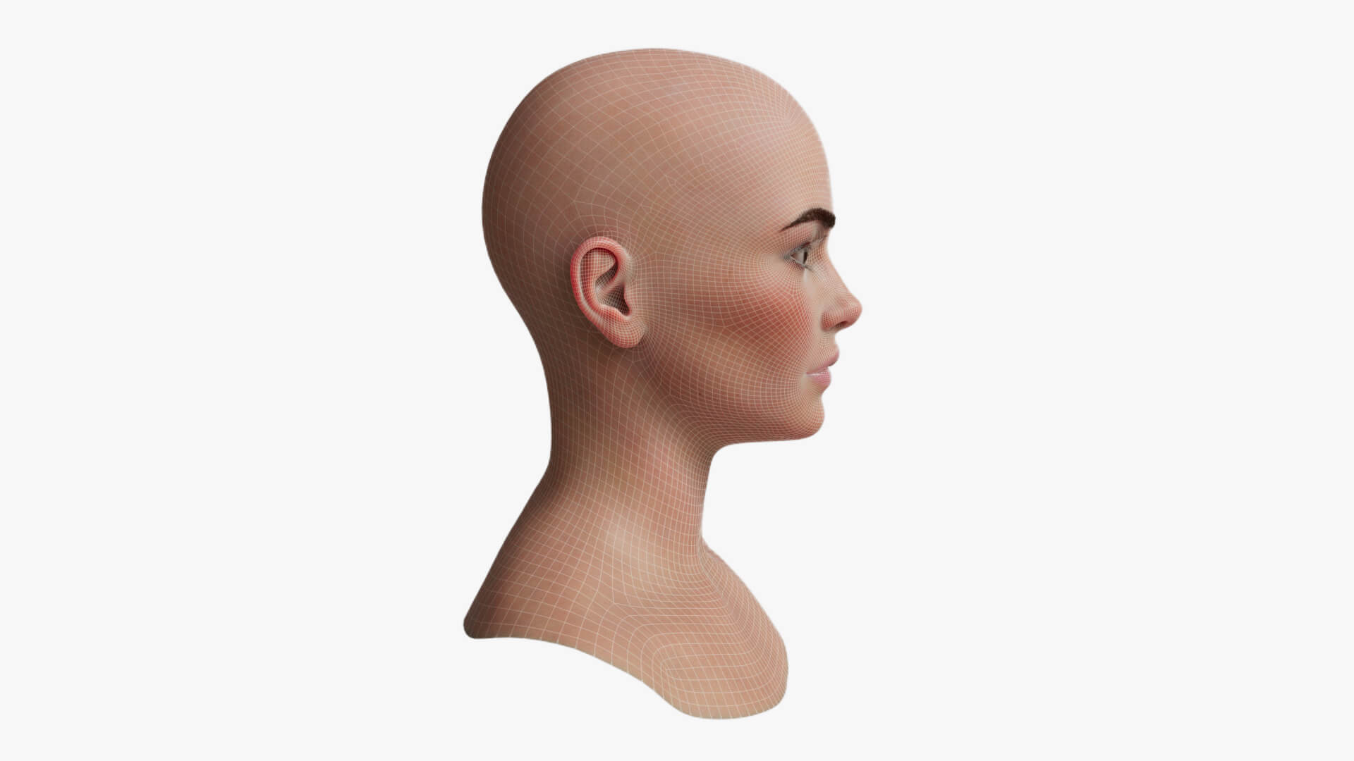 Caucasian Female Head Base Mesh Metahuman Topology V1 - 3D Model by ...