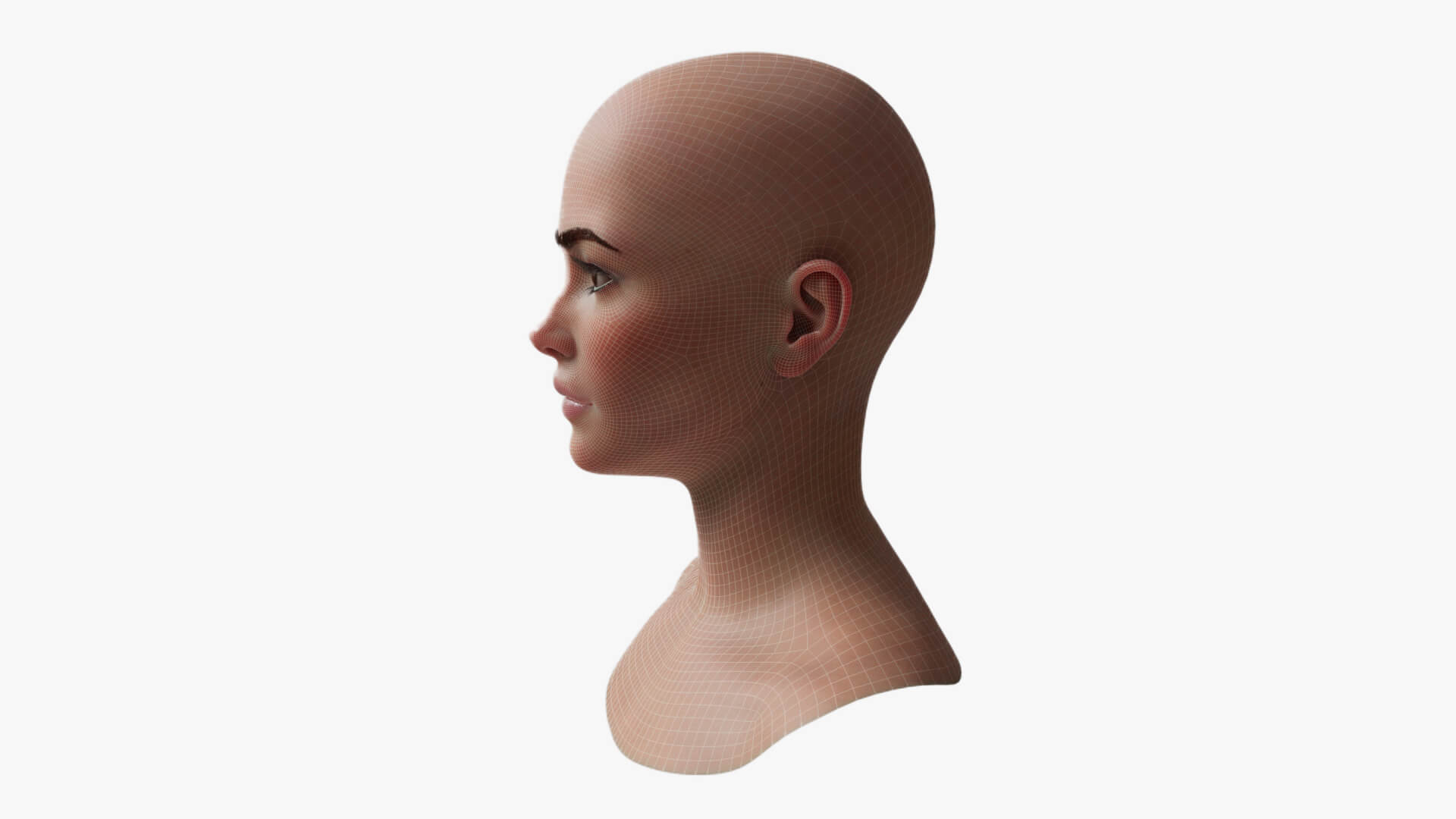 Caucasian Female Head Base Mesh Metahuman Topology V1 - 3D Model by ...