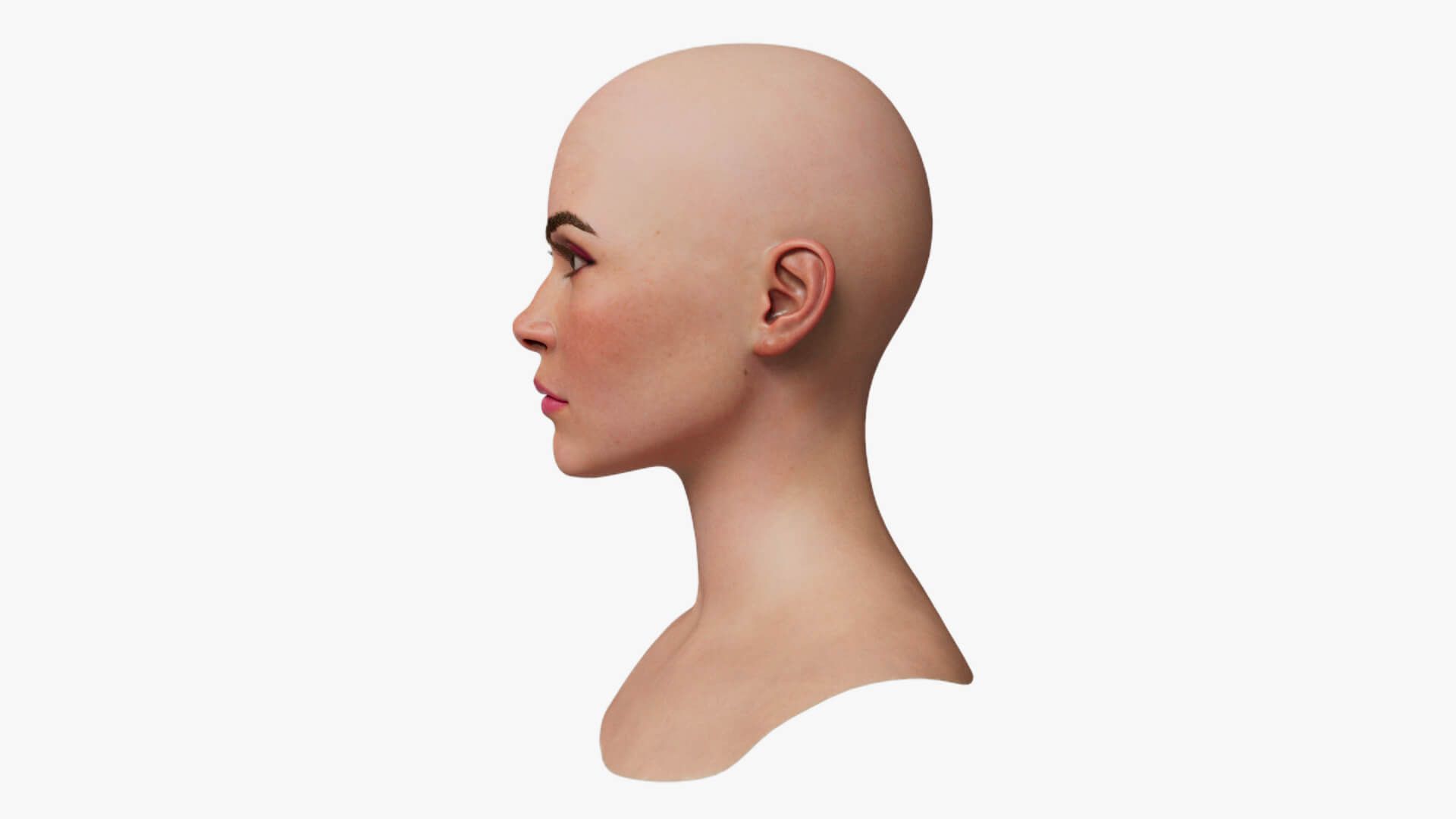Caucasian Female Head Base Mesh Metahuman Topology V2 - 3D Model by ...