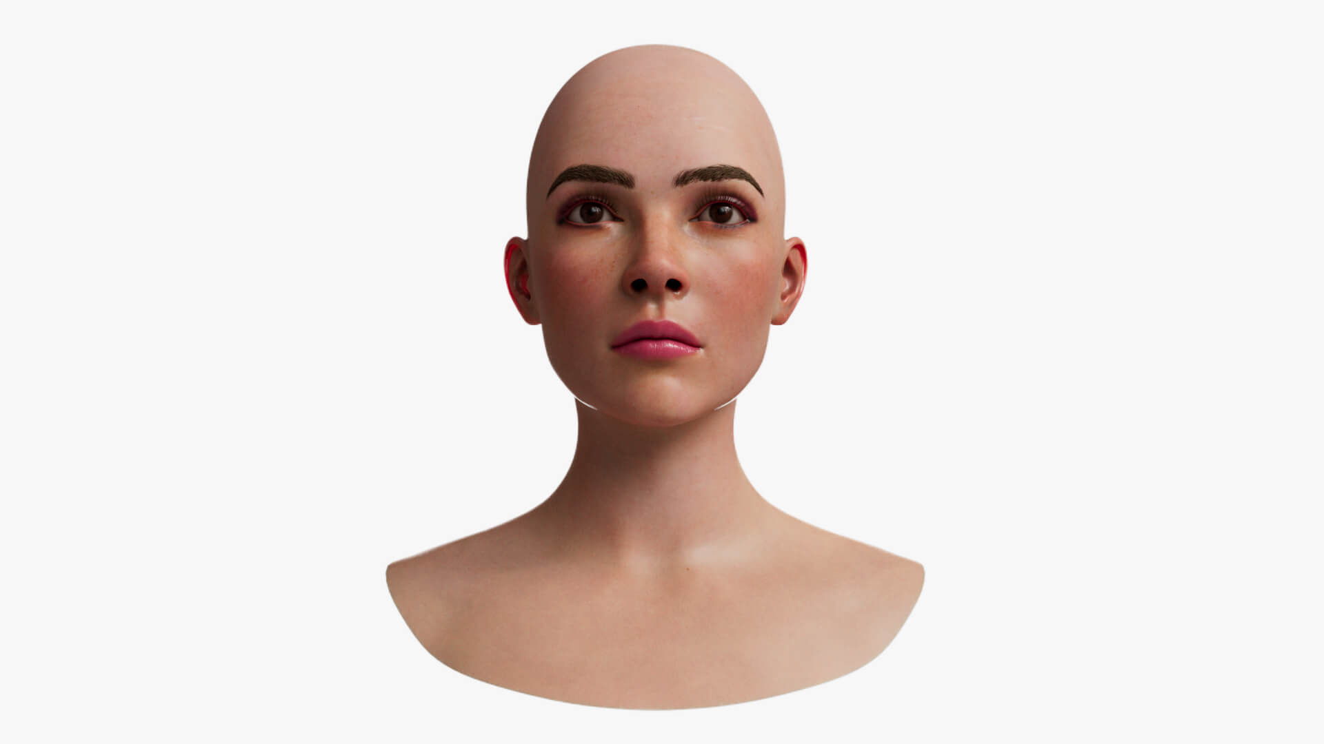 Caucasian Female Head Base Mesh Metahuman Topology V2 - 3D Model by ...