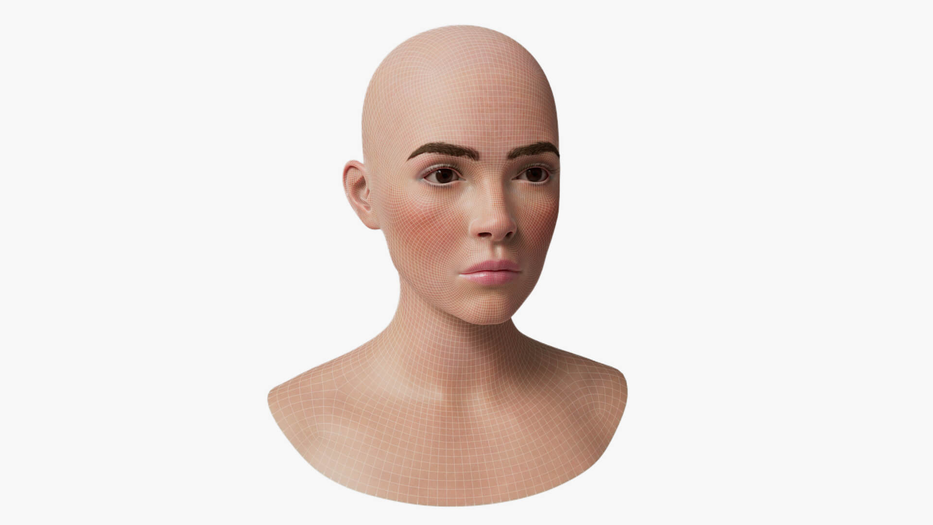 Caucasian Female Head Base Mesh Metahuman Topology V2 - 3D Model by ...