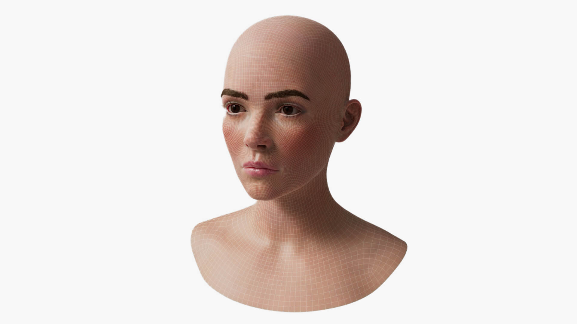 Caucasian Female Head Base Mesh Metahuman Topology V2 - 3D Model by ...