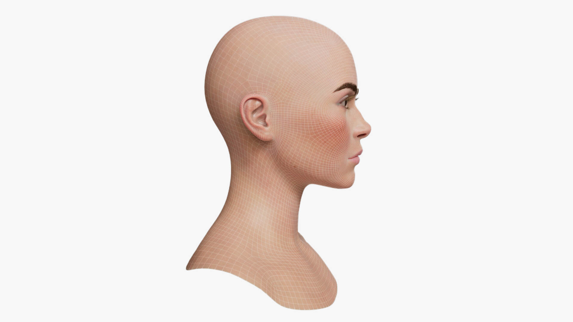 Female Head Mesh With Unreal Metahuman Topology V4 - 3D Model by ...