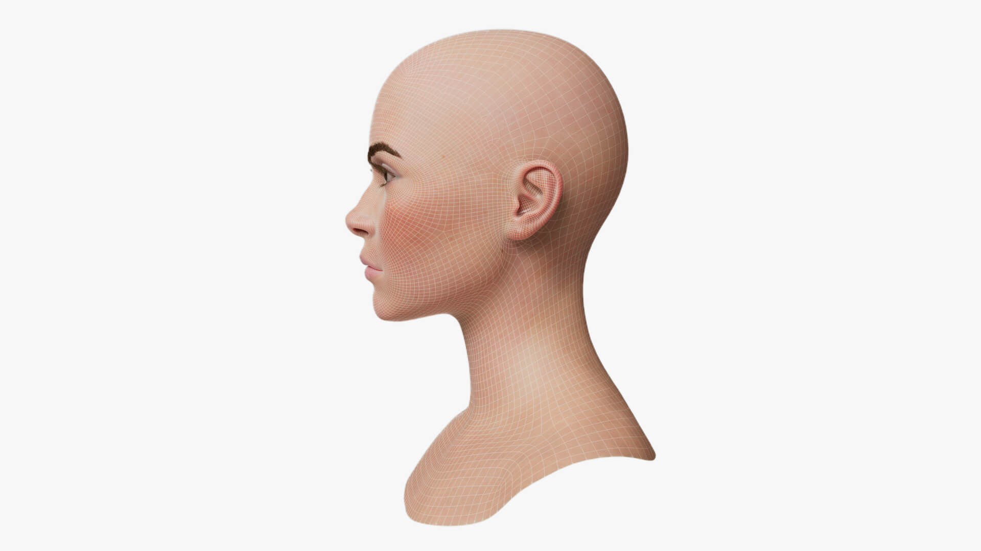 Caucasian Female Head Base Mesh Metahuman Topology V2 - 3D Model by ...