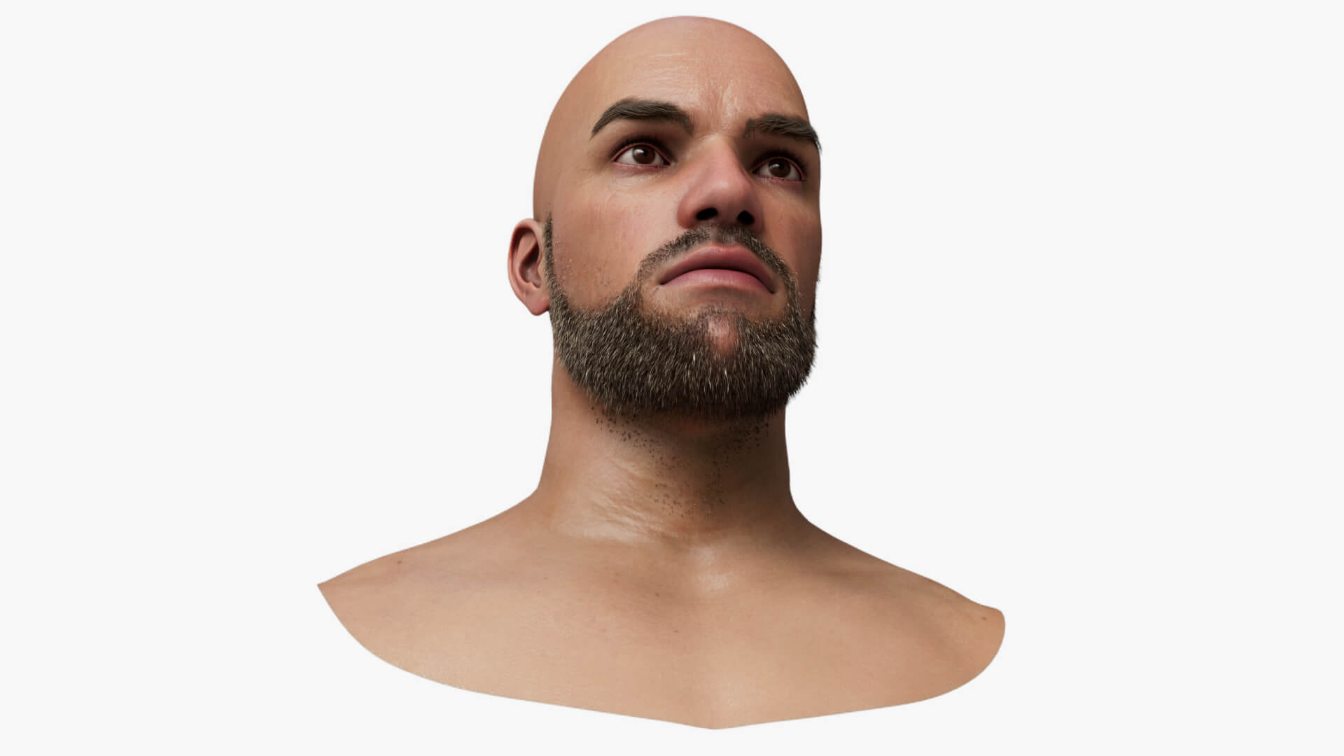 Male Head Mesh With Unreal Metahuman Topology V1 - 3D Model by ...