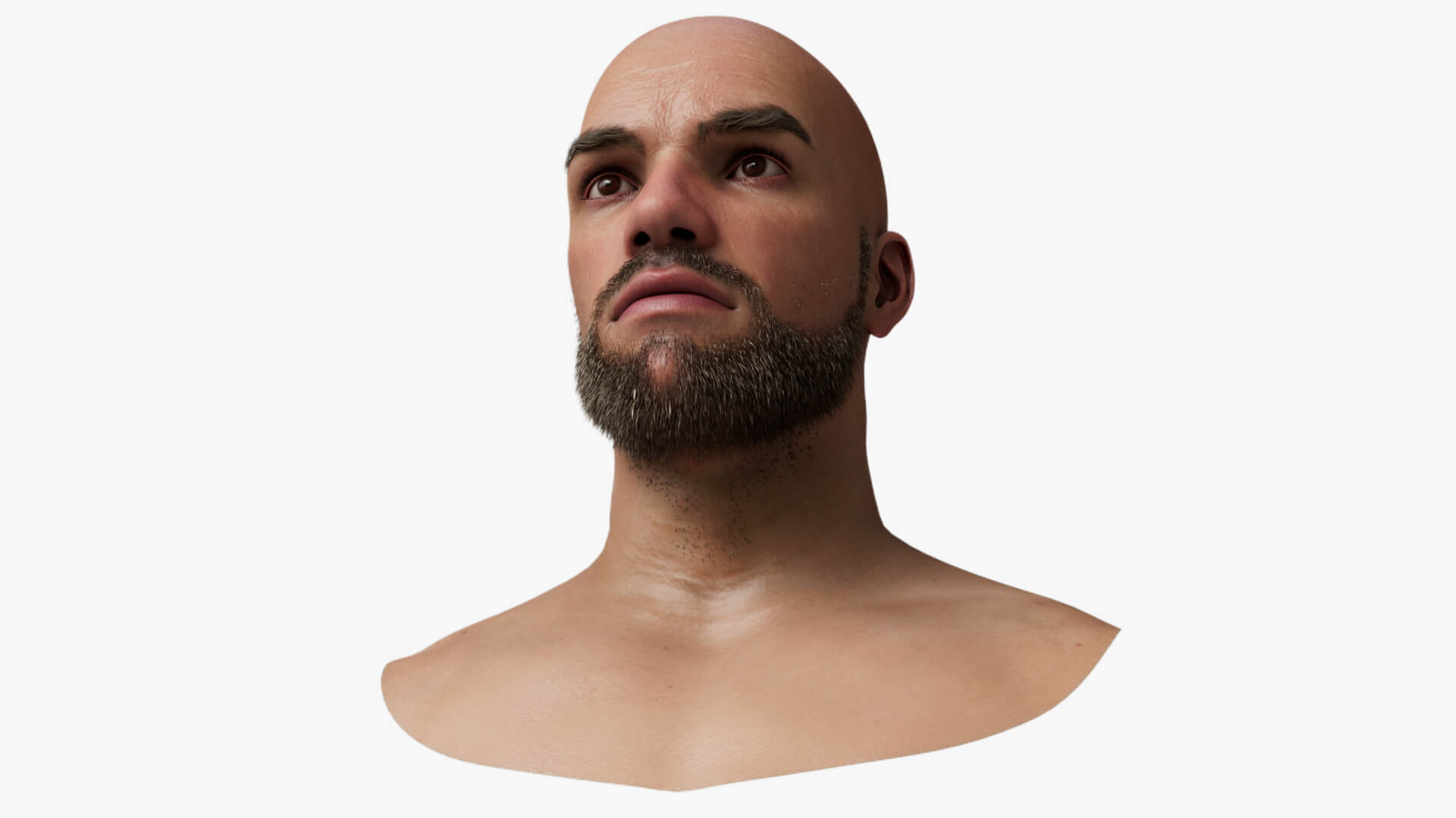 Male Head Mesh With Unreal Metahuman Topology V1 - 3D Model by ...