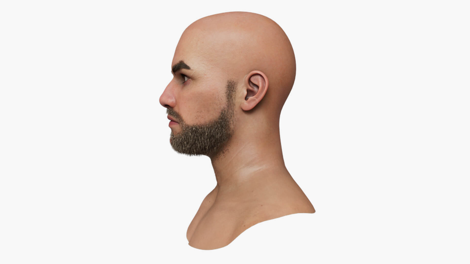 Male Head Mesh With Unreal Metahuman Topology V1 - 3D Model by ...