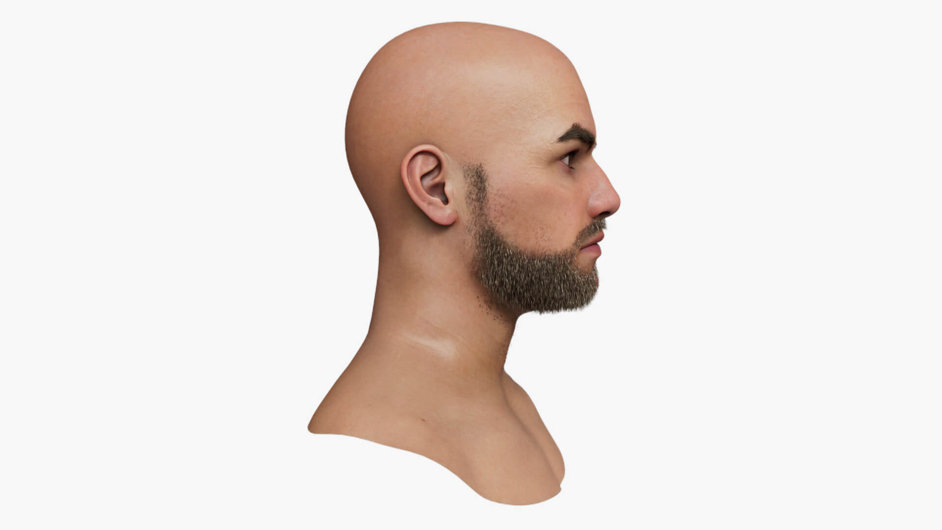 Male Head Mesh With Unreal Metahuman Topology V1 - 3D Model by ...