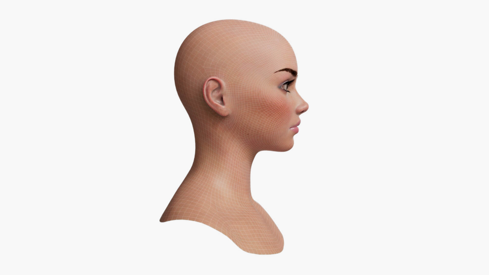 Female Head Mesh With Unreal Metahuman Topology V1 - 3D Model by ...