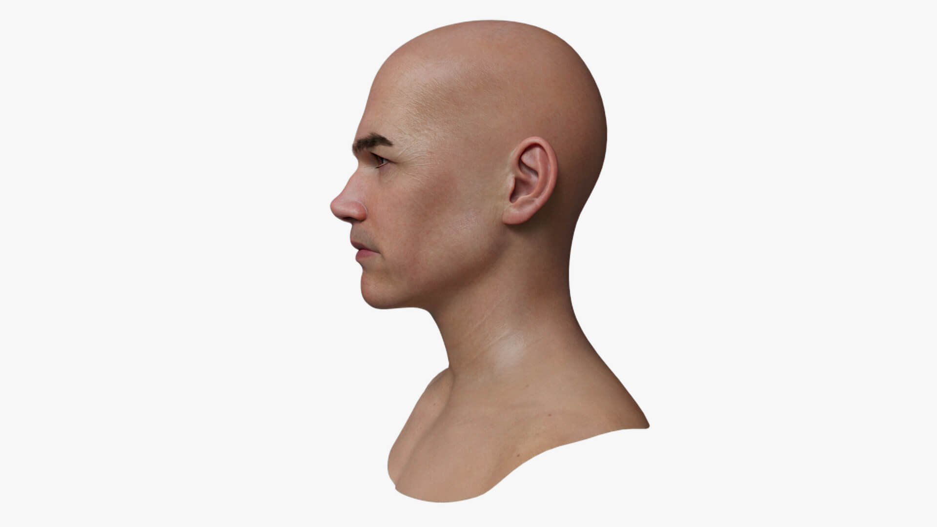 Male Head Mesh With Unreal Metahuman Topology V2 - 3D Model by ...