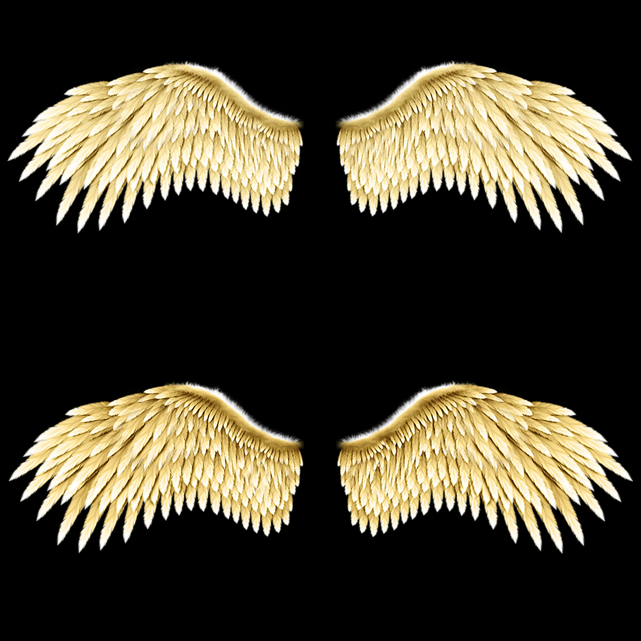 Golden Wings - 3D Model by stonelion7