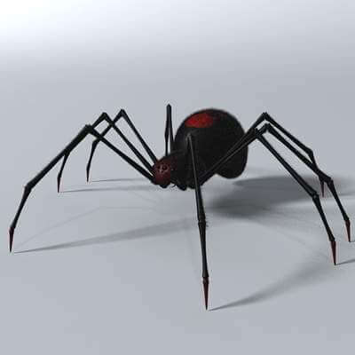 Wolf Spider - 3D Model by Kulacha