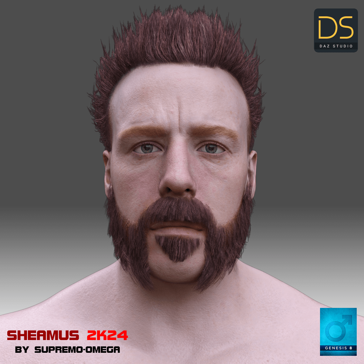 Sheamus 2k24 4K For G8 Male 3D Render by supremoomega