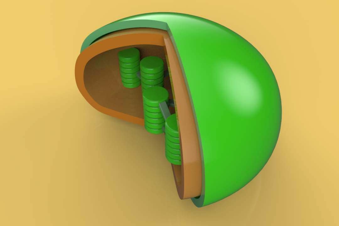 Chloroplast Cell - 3D Model by surf3d