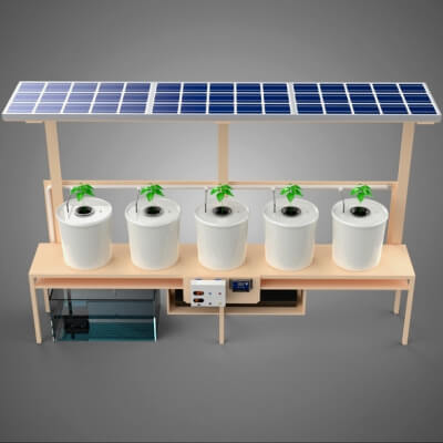 Compact Hydroponic Bato Dutch Bucket System Powered solar PV - 3D Model ...