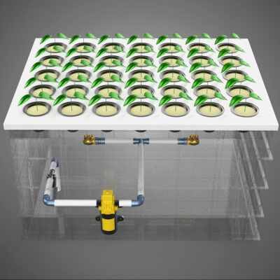 High Pressure Aeroponic Propagation Setup Misting Nozzle Fog - 3D Model ...