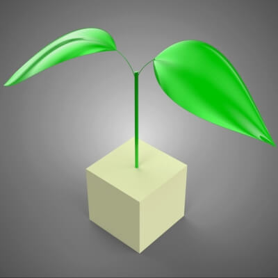 Horticultural Polyurethane Media Foam Sponge Rockwool Plant - 3D Model ...